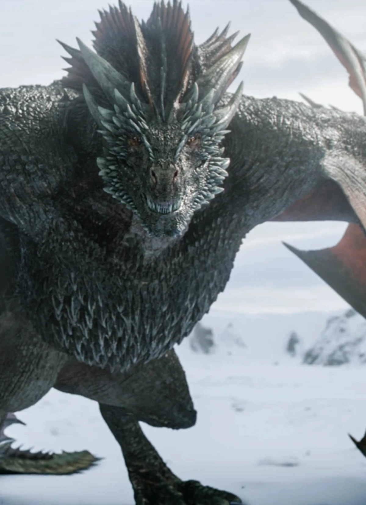 Drogon (War of the Three Claims) | Game of Thrones fanon Wiki | Fandom