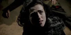 Robb Stark Amplificador Amplificador Morgana RIZZOLI SPRING 2022