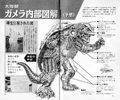 Gamera | Gamera Wiki | Fandom
