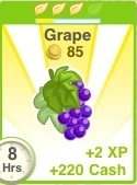 Grape | Gamer HQ Wiki | Fandom