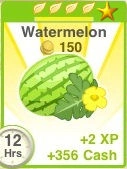Watermelon | Gamer HQ Wiki | Fandom