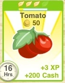 Tomato | Gamer HQ Wiki | Fandom