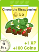 Chocolate Strawberries | Gamer HQ Wiki | Fandom