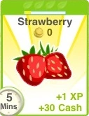 Strawberry | Gamer HQ Wiki | Fandom