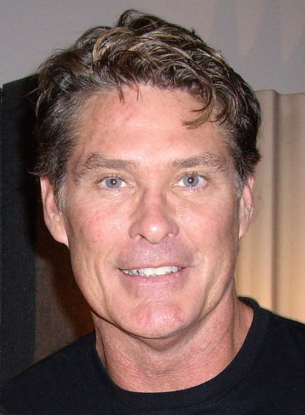 David Hasselhoff | Game Shows Wiki | Fandom
