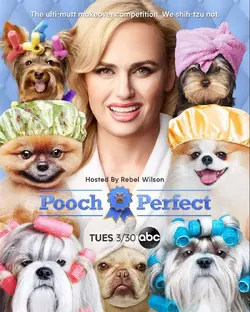 Pooch Perfect | Game Shows Wiki | Fandom