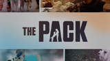 The Pack | Game Shows Wiki | Fandom