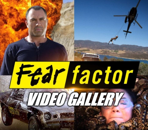 Fear Factor/Video Gallery | Game Shows Wiki | Fandom