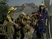 Summer Robin Bartholomew | Game Shows Wiki | Fandom