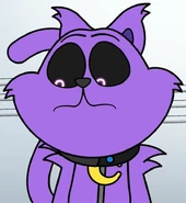 CatNap/Outfits | GameToons Wiki | Fandom