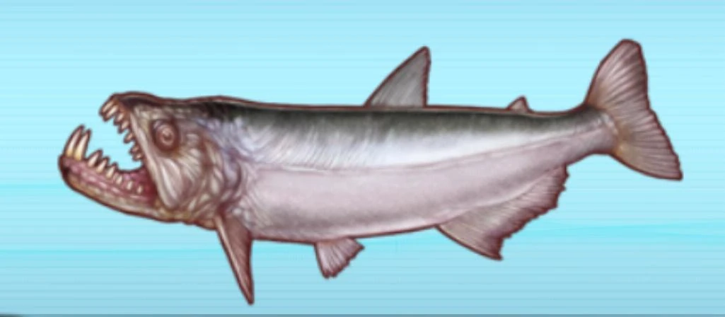 Payara | Fishing Superstars Wiki | Fandom