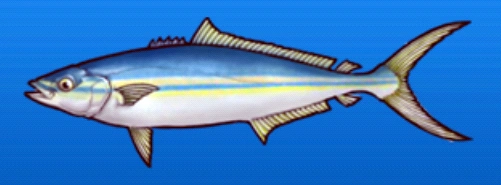 Rainbow Runner | Fishing Superstars Wiki | Fandom