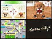 Nintendogs (series) - Codex Gamicus - Humanity's collective gaming ...