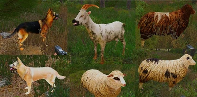 Hunting Guide | Gaming Asylum Wiki | Fandom