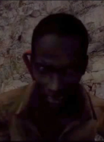 Majini (SSBG Continuity) | GamingAllStarsGmod Wiki | Fandom