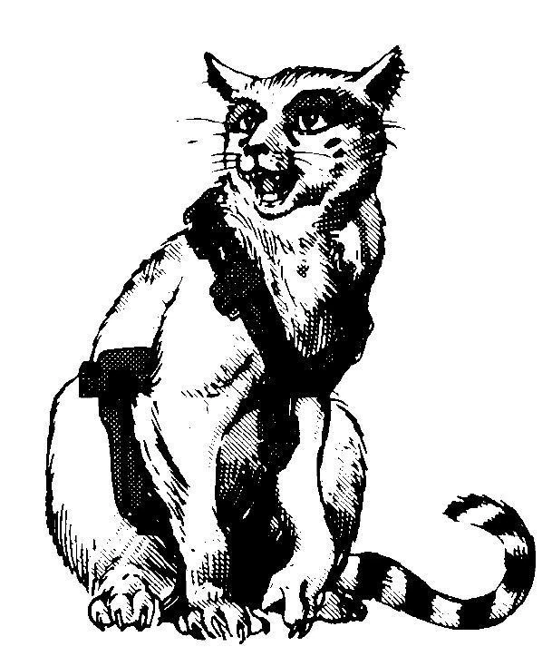 Katkin | Gamma World Wiki | Fandom