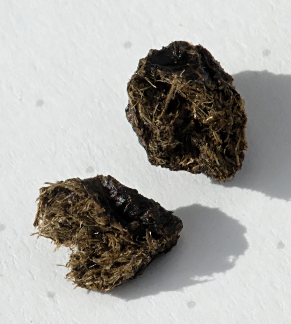 Rabbit Manure | WikiGardener | Fandom