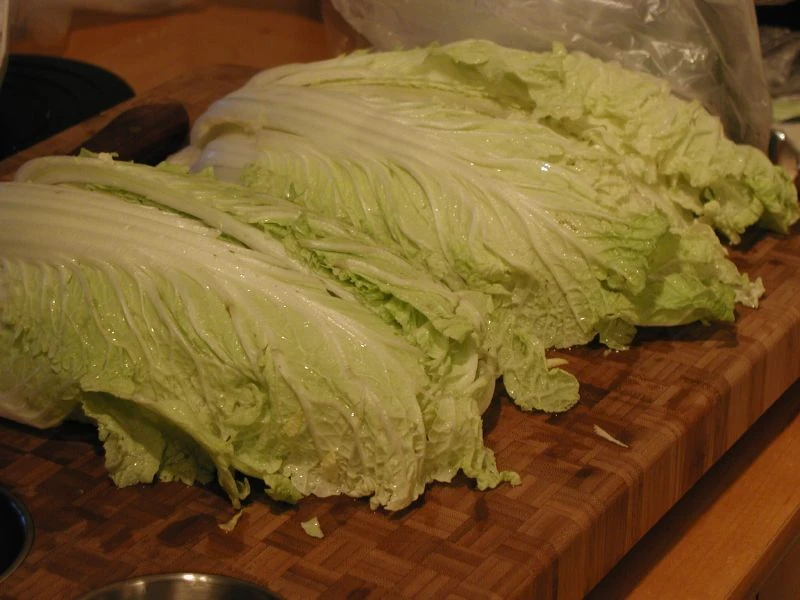 Chinese cabbage | WikiGardener | Fandom