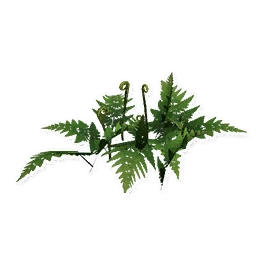 Fern (Object) | Garden Paws Wiki | Fandom