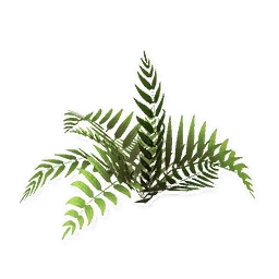 Fern (Object) | Garden Paws Wiki | Fandom