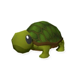Baby Tortoise | Garden Paws Wiki | Fandom