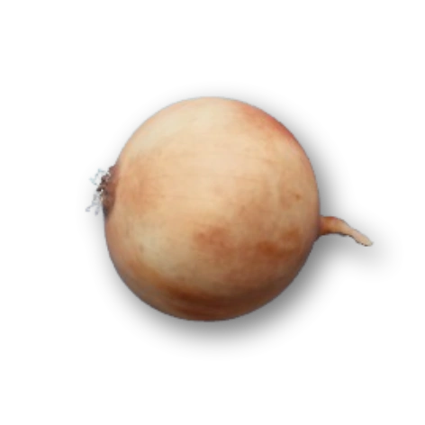 Onion | Nature RNG Wiki | Fandom