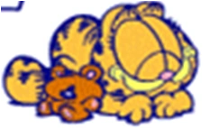 Sleep Zzz Garfield