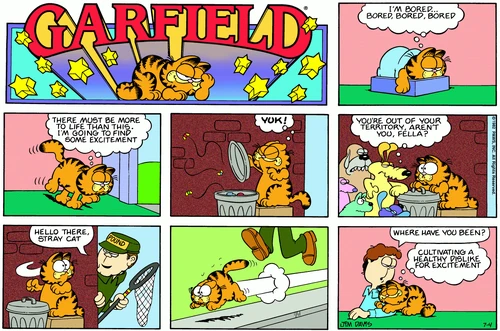 Garfield 4 Juillet