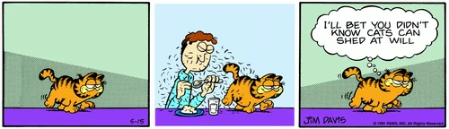 May 15 | Garfield Comic Strips Wiki | Fandom