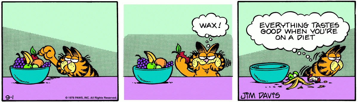 September 1 | Garfield Comic Strips Wiki | Fandom
