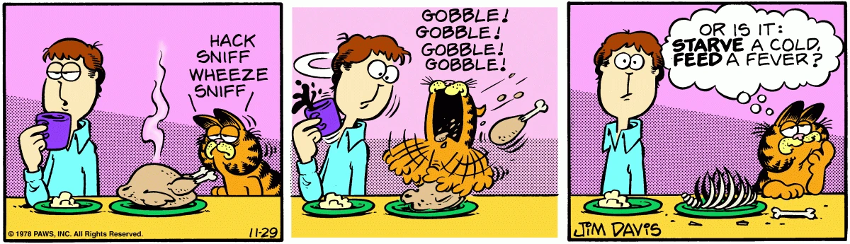 November 29 | Garfield Comic Strips Wiki | Fandom