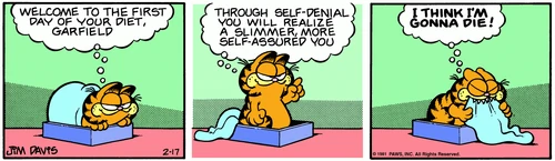 February 17 | Garfield Comic Strips Wiki | Fandom