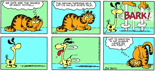 August 20 | Garfield Comic Strips Wiki | Fandom