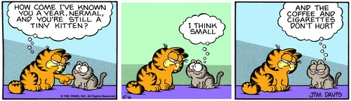 May 6 | Garfield Comic Strips Wiki | Fandom