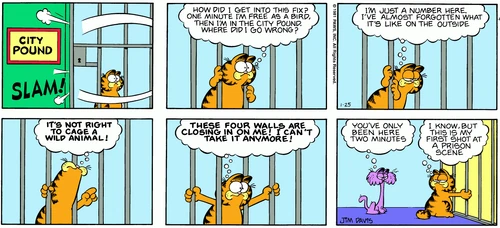 January 25 | Garfield Comic Strips Wiki | Fandom