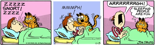 November 13 | Garfield Comic Strips Wiki | Fandom