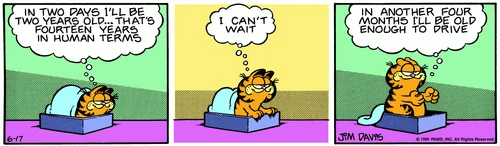 June 17 | Garfield Comic Strips Wiki | Fandom
