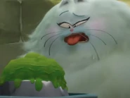 Jinx | Garfield Wiki | Fandom