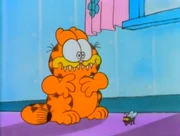 Garfield and Friends Season 3 Quickies | Garfield Wiki | Fandom