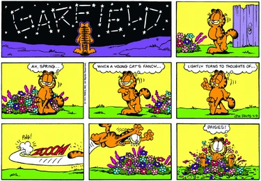 Flowers | Garfield Wiki | Fandom