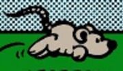 Mice | Garfield Wiki | Fandom