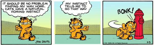 Garfield, February 1981 comic strips | Garfield Wiki | Fandom
