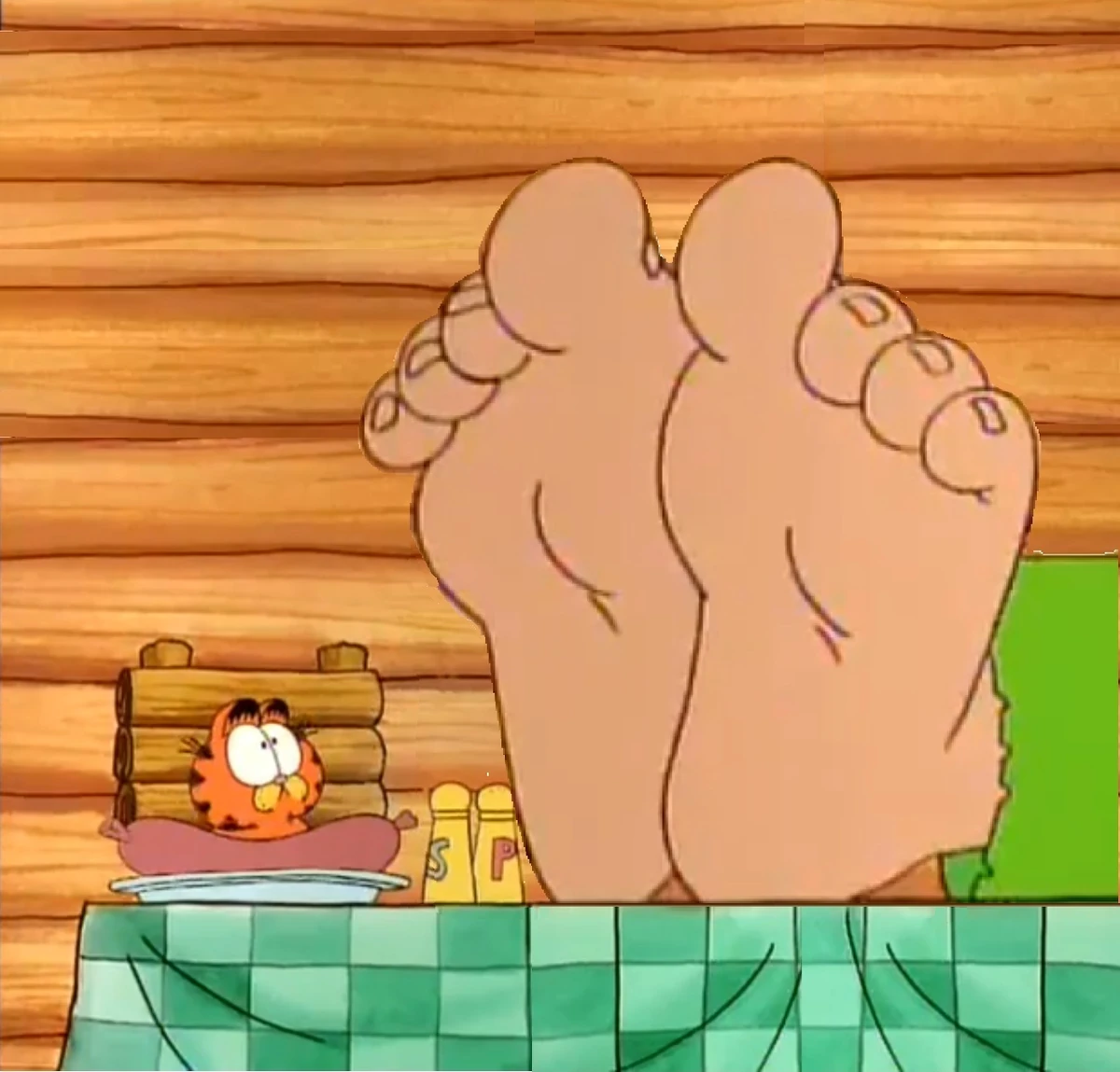 Bigfeetz (episode)/Gallery | Garfield Wiki | Fandom