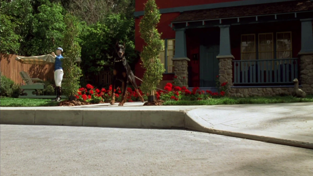 Luca | Garfield Wiki | Fandom