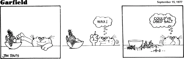 1977 | Garfield Comic Strips Wiki | Fandom