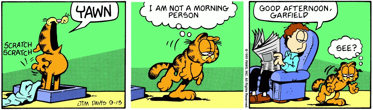 Not A Morning Person Garfield