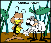 Gnorm Gnat | Garfield Wiki | Fandom