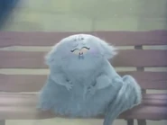 Jinx | Garfield Wiki | Fandom