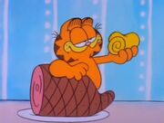 Garfield and Friends Season 1 Quickies | Garfield Wiki | Fandom