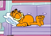 Garfield (character) | Garfield Wiki | Fandom